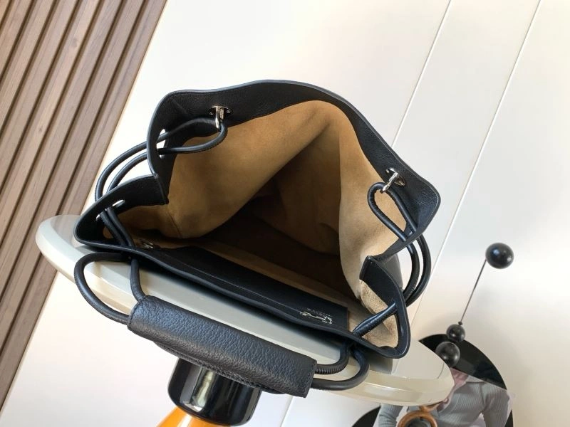 Economical Loewe Bucket Bags
