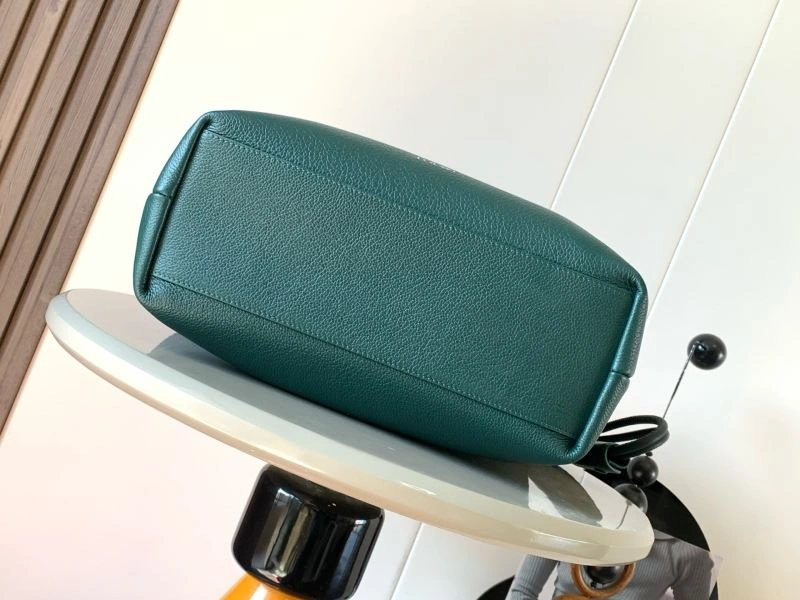Discounted Loewe Bucket Bags