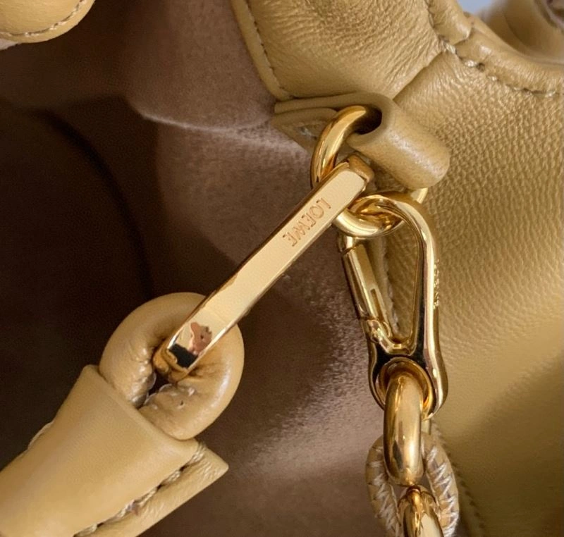 Budget-friendly Loewe Bucket Bags