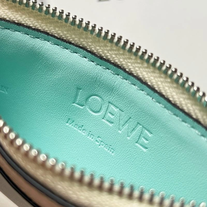 Top match Loewe Card Holders
