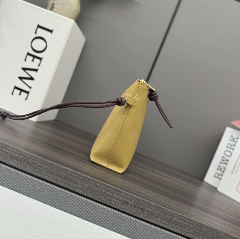 Indistinguishable Loewe Clutch Bags