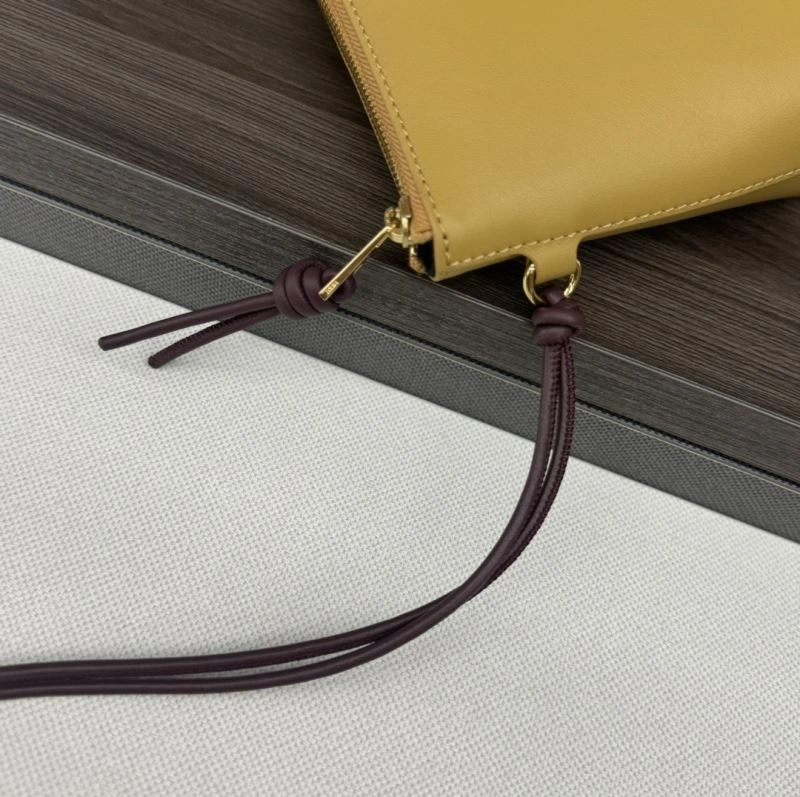 Indistinguishable Loewe Clutch Bags