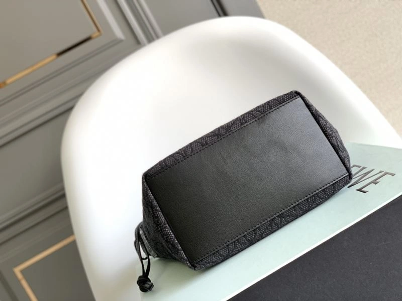 Official Loewe Cubi Bags