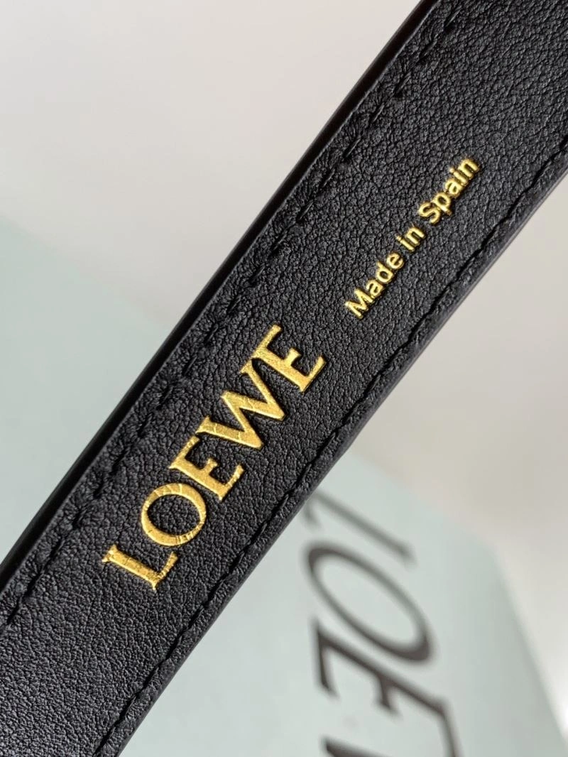 Official Loewe Cubi Bags