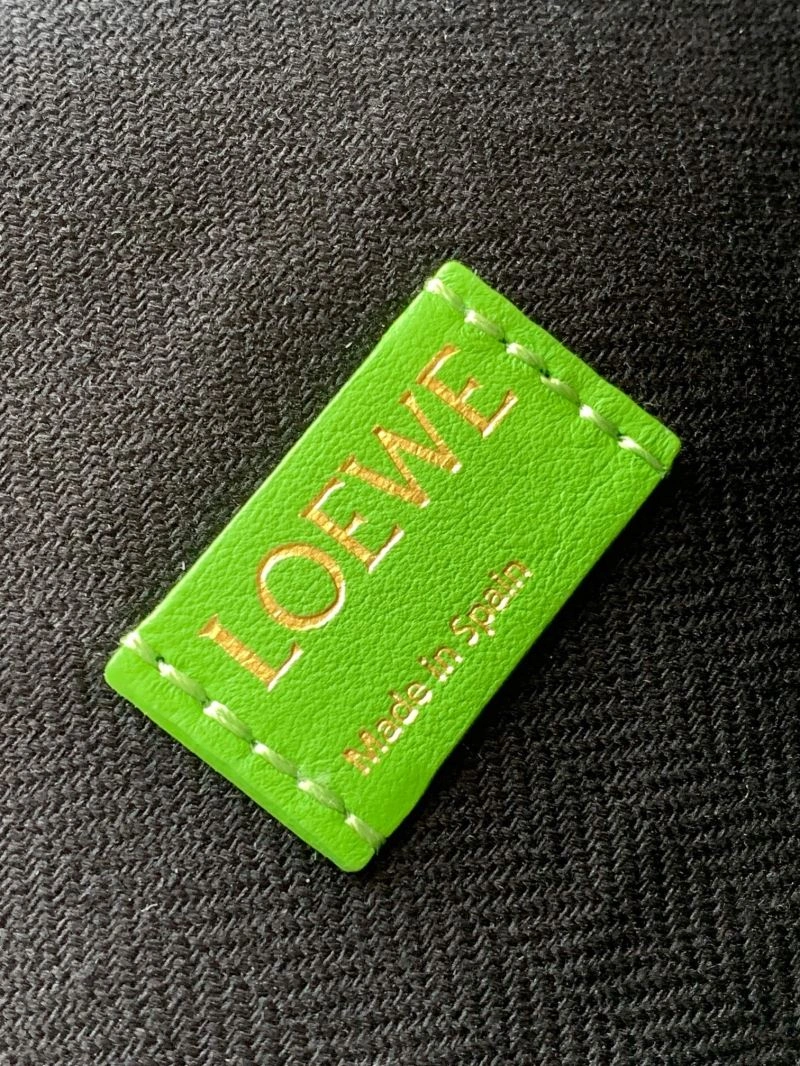 High fidelity Loewe Cubi Bags
