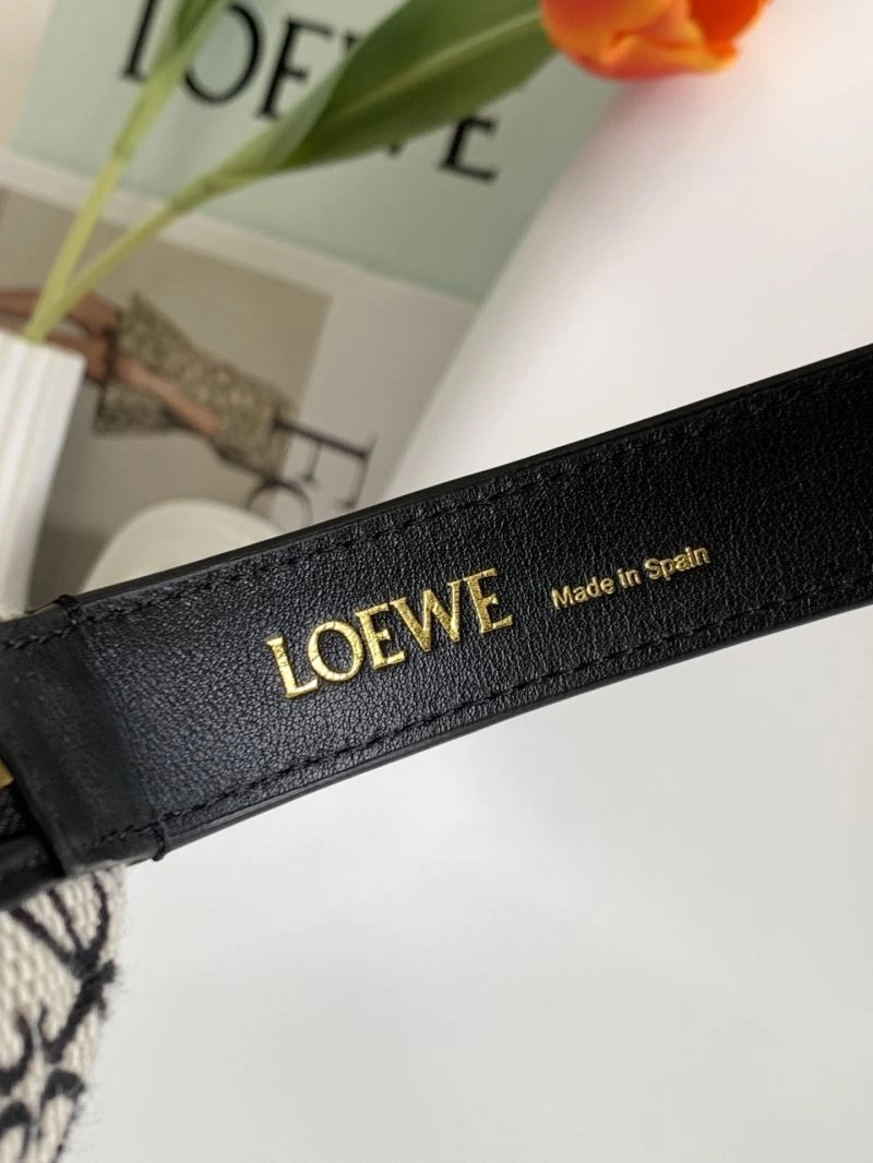 Discounted Loewe Cubi Bags
