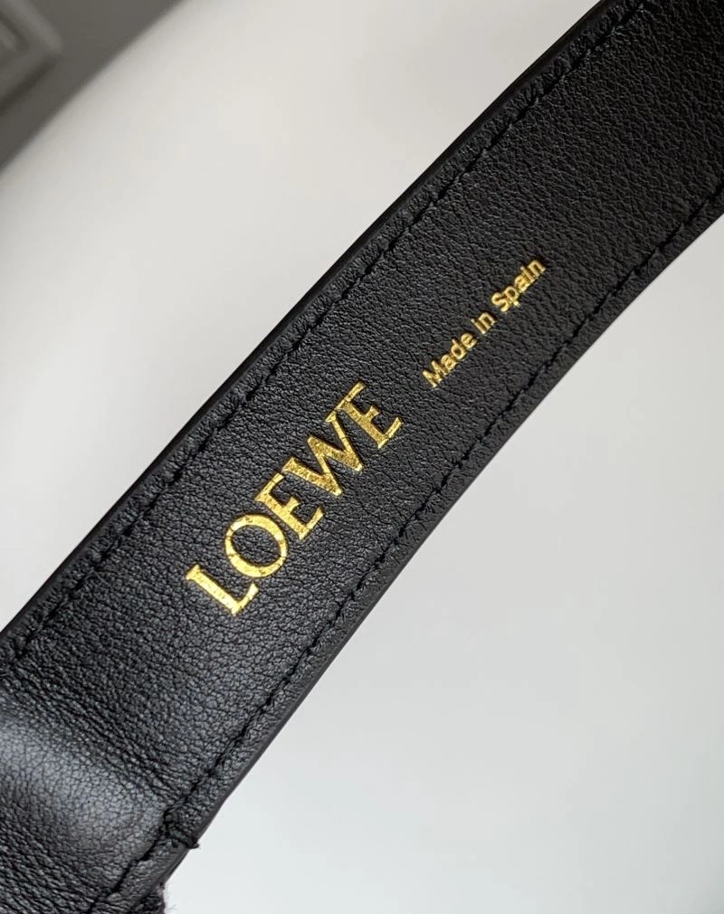 Authentic Loewe Cubi Bags