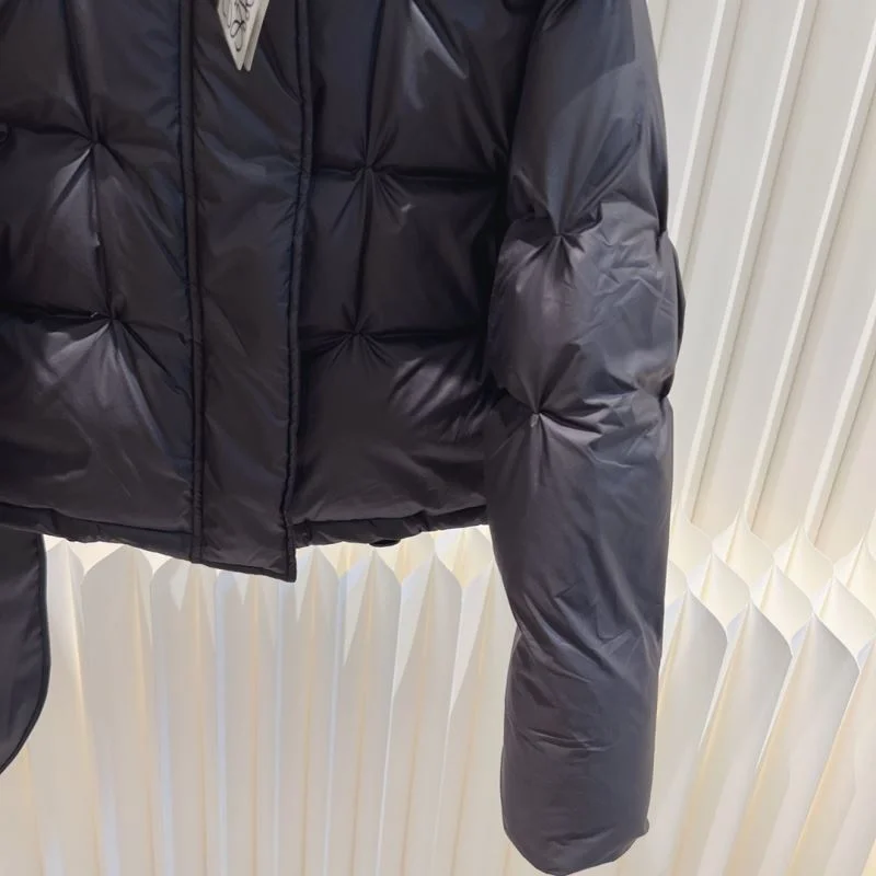 Accurate model Loewe Down Jackets