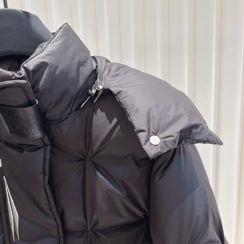 Accurate model Loewe Down Jackets