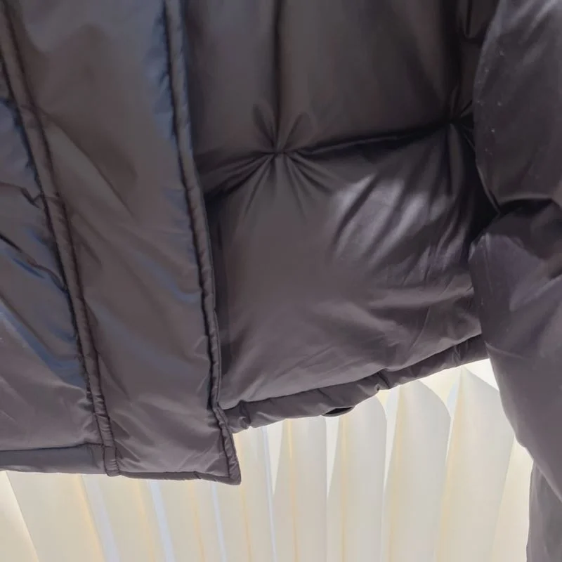 Accurate model Loewe Down Jackets