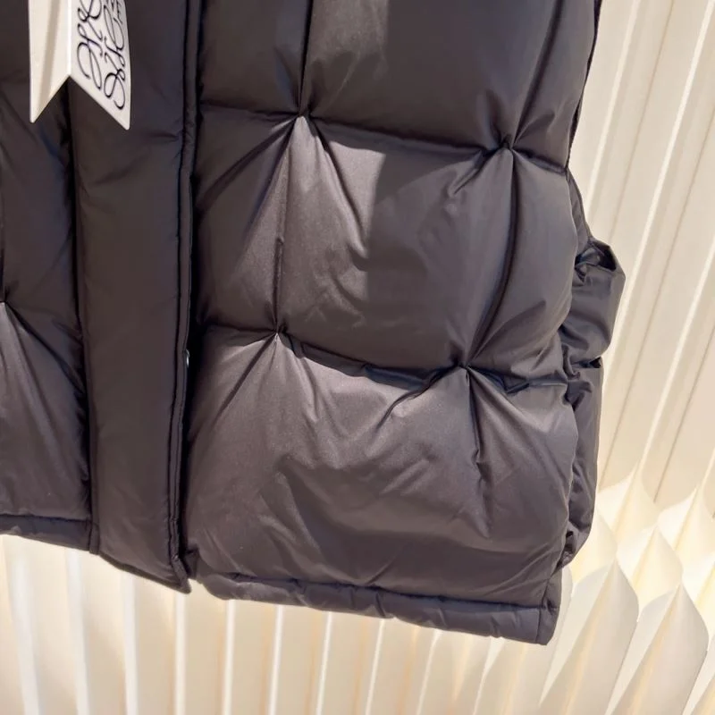 Indistinguishable Loewe Down Jackets