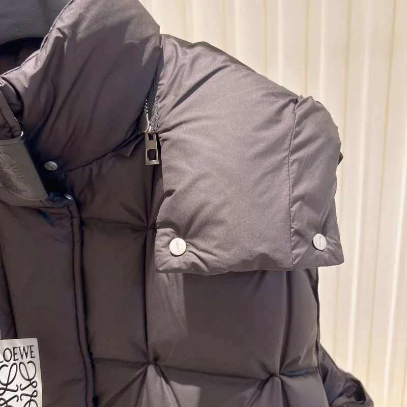 Indistinguishable Loewe Down Jackets