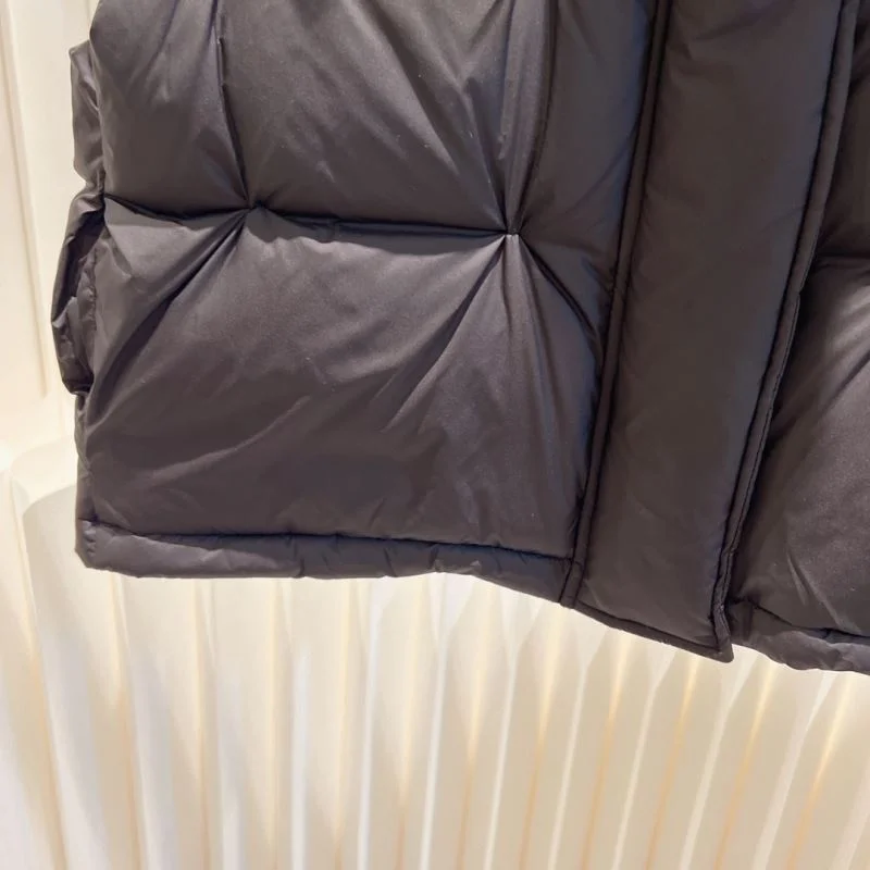 Indistinguishable Loewe Down Jackets