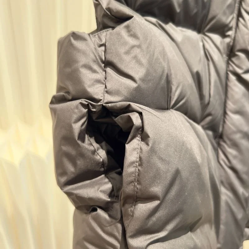 Indistinguishable Loewe Down Jackets
