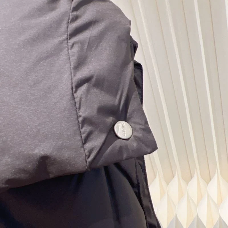 Indistinguishable Loewe Down Jackets