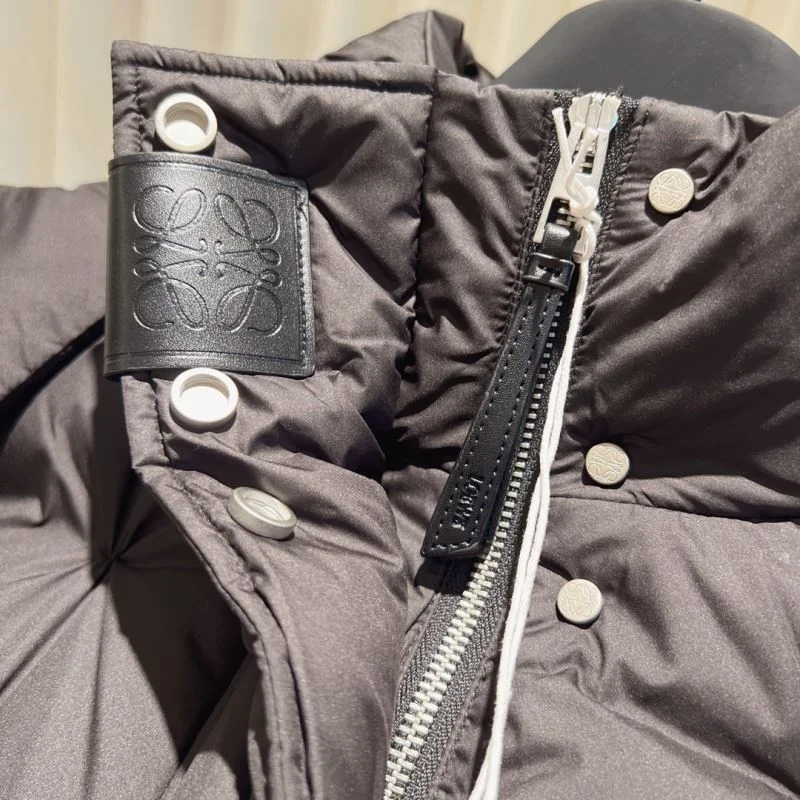 Indistinguishable Loewe Down Jackets