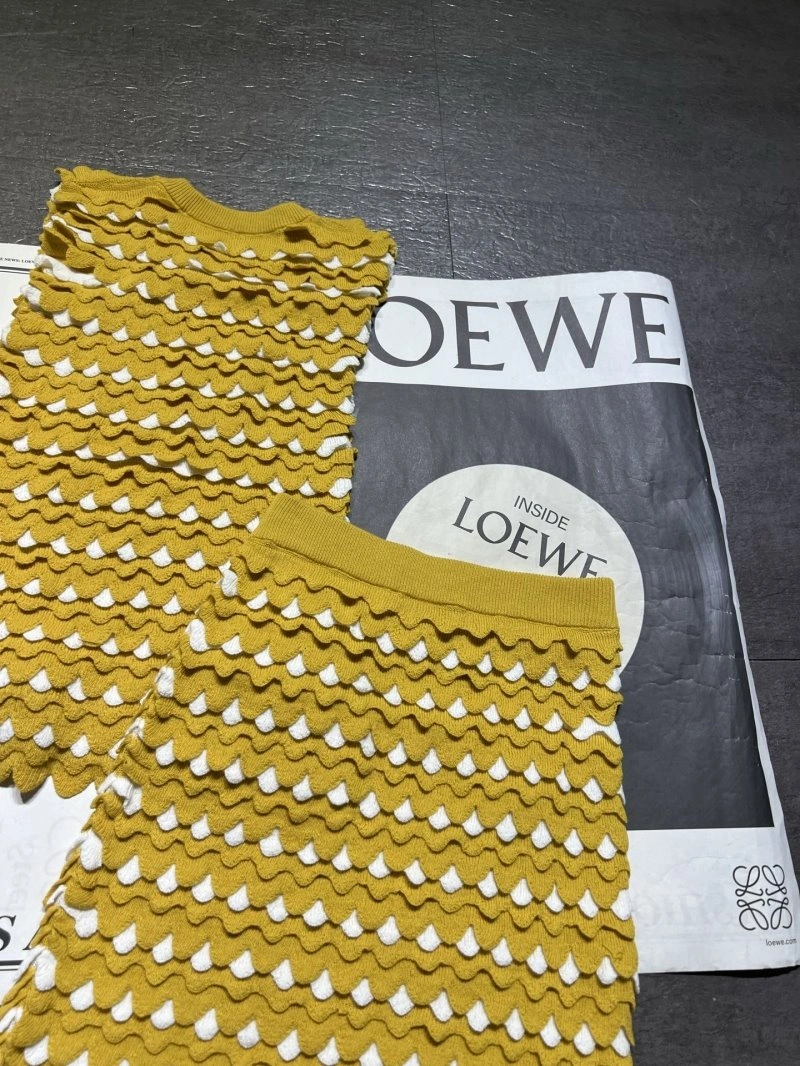 Inexpensive Loewe Dress Suits