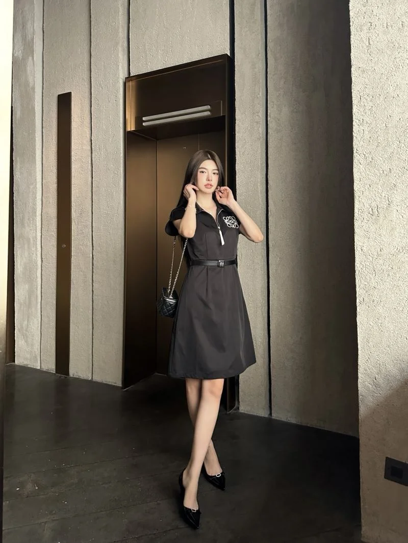 Factory-made Loewe Dress