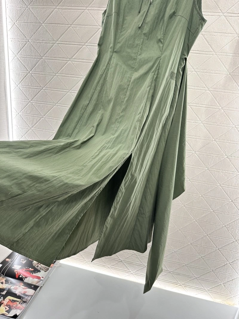 Economical Loewe Dress