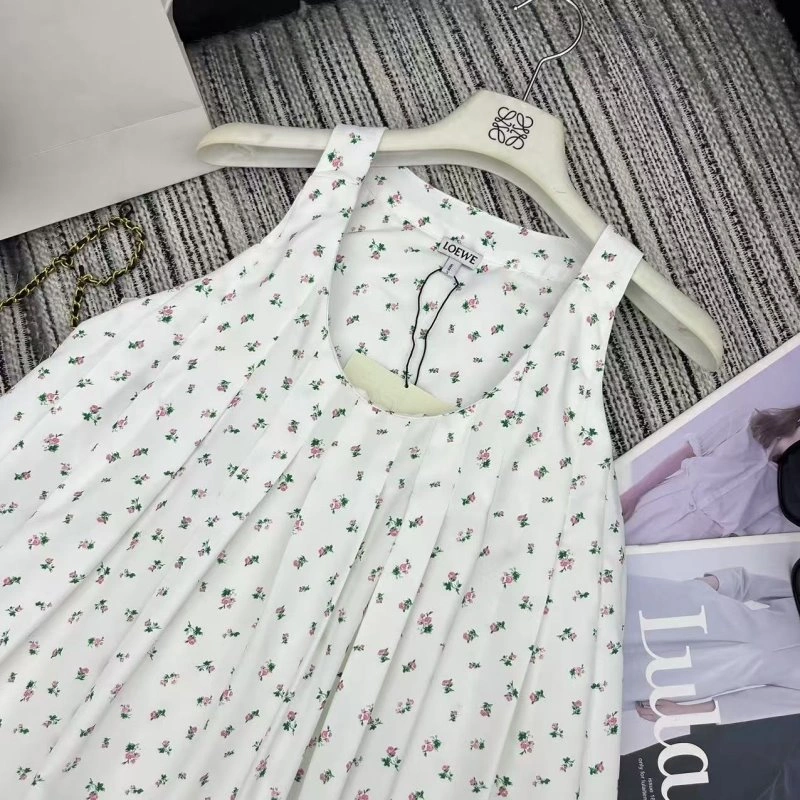 Economical Loewe Dress