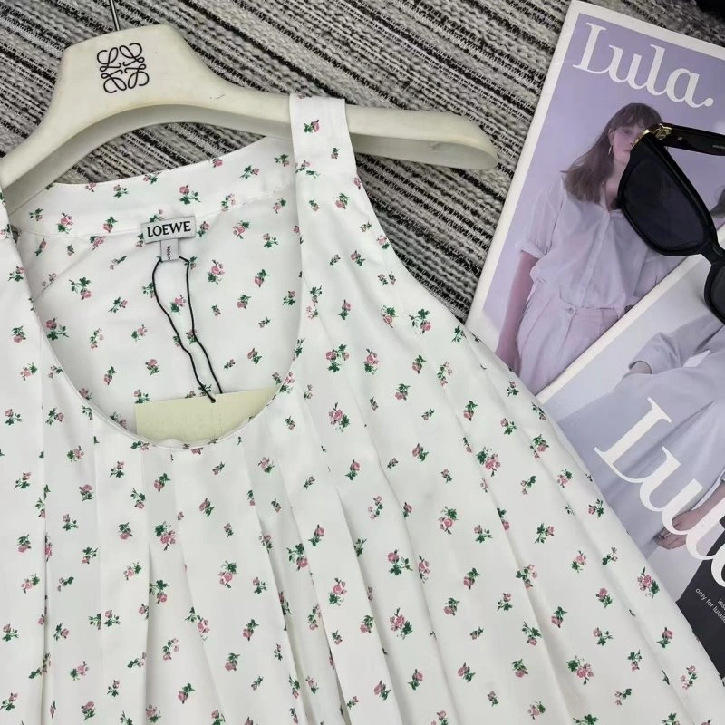 Economical Loewe Dress