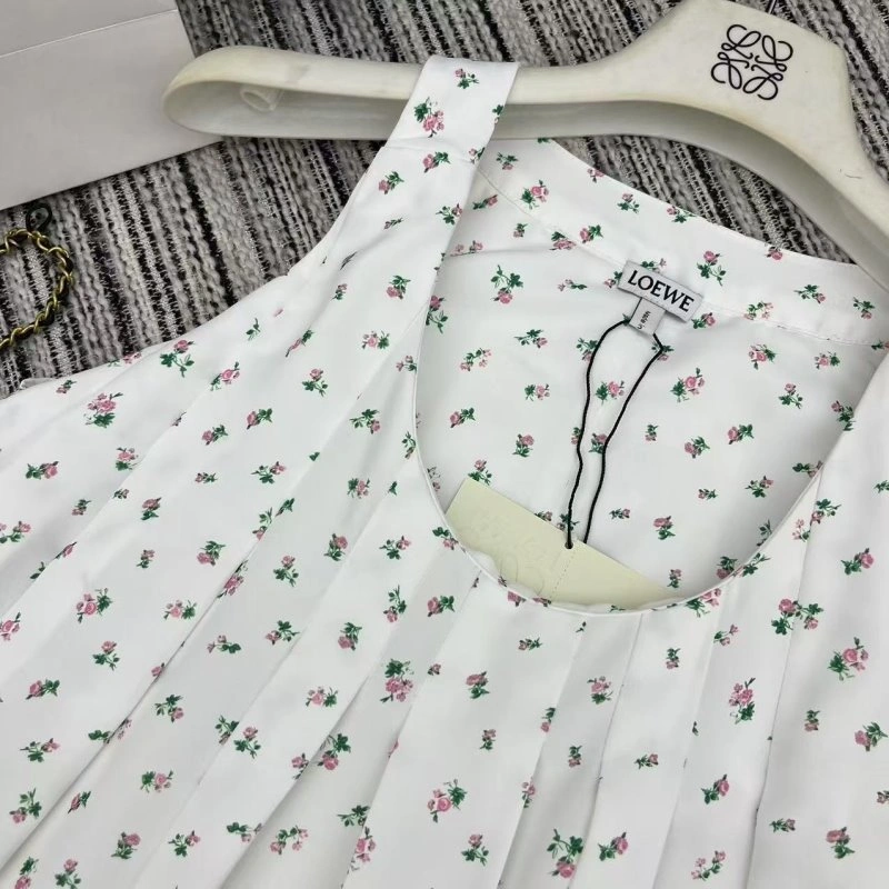 Economical Loewe Dress
