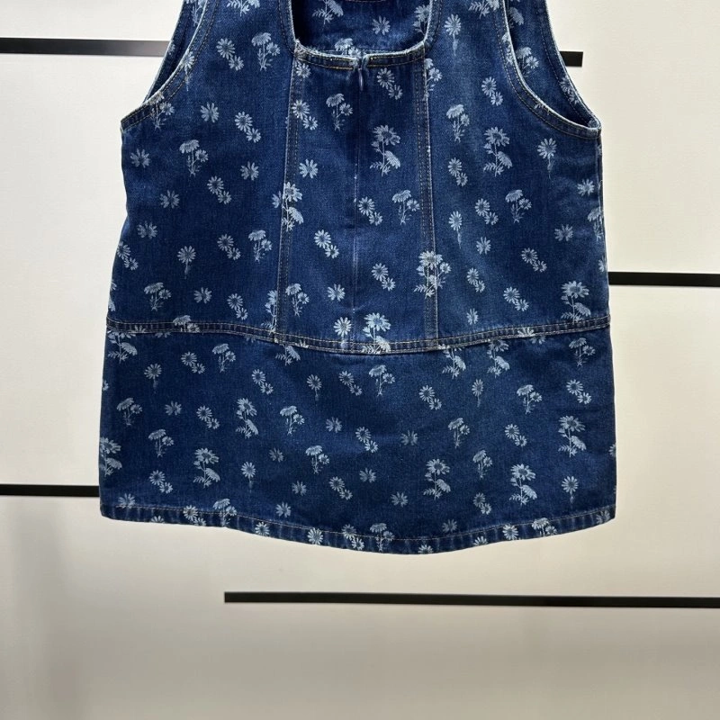 Economical Loewe Dress