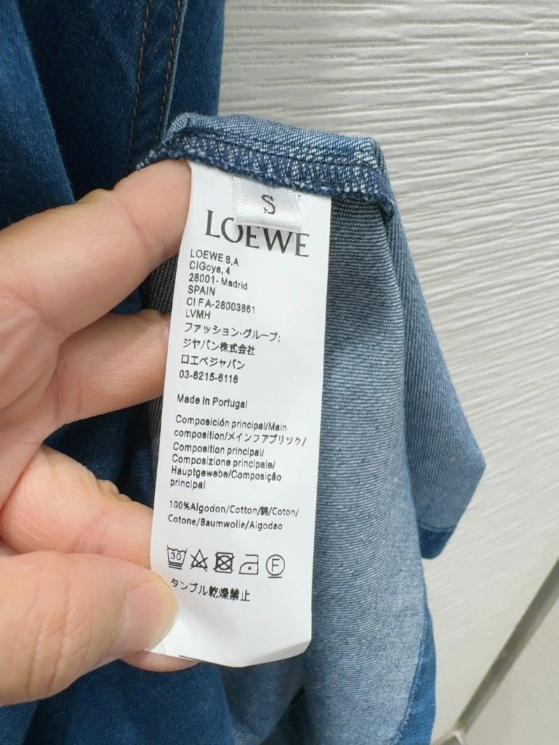 Accurate model Loewe Dress