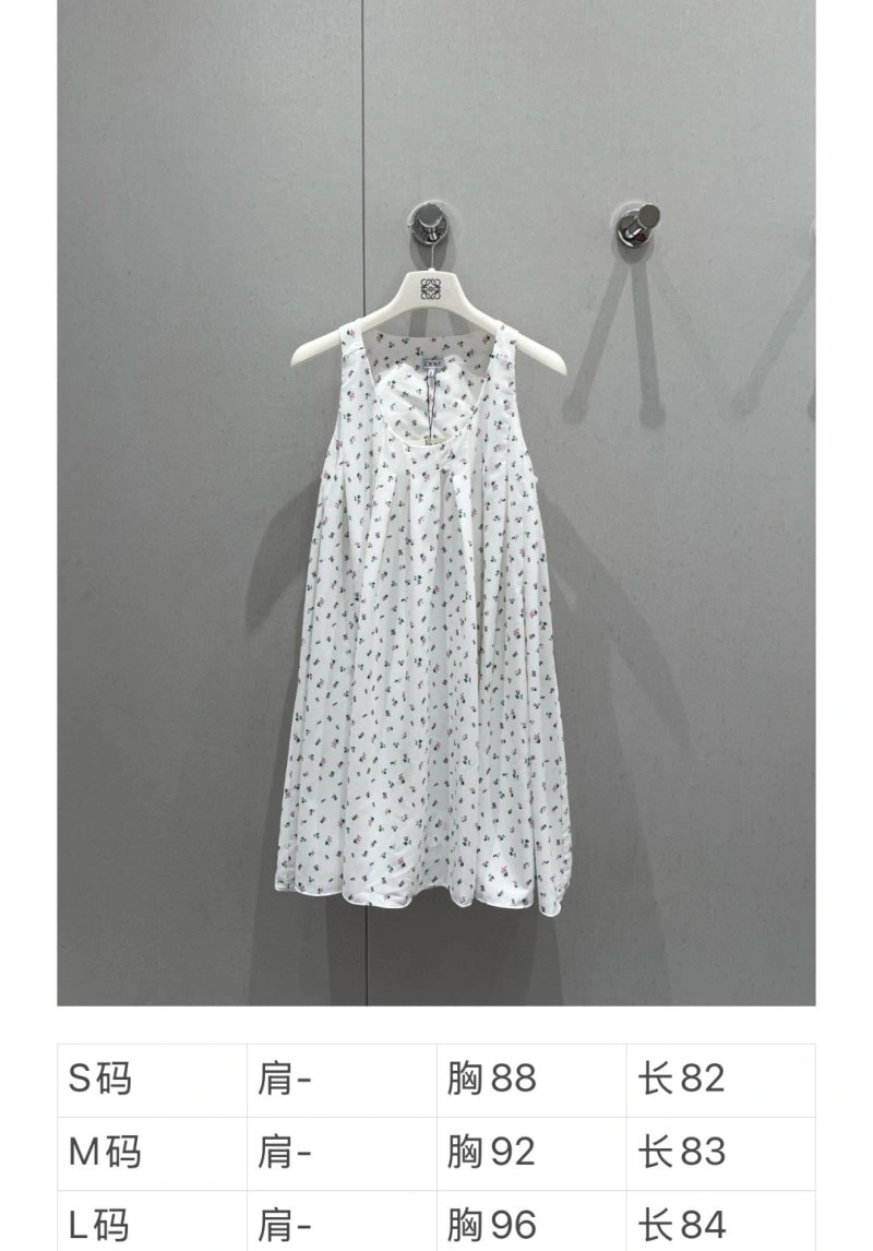Value-priced Loewe Dress
