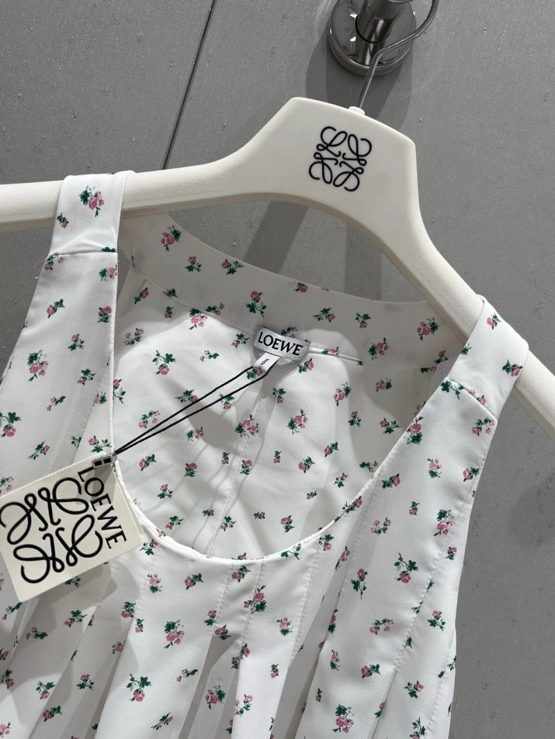 Value-priced Loewe Dress