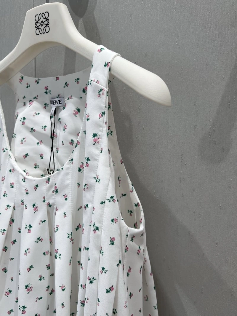 Value-priced Loewe Dress