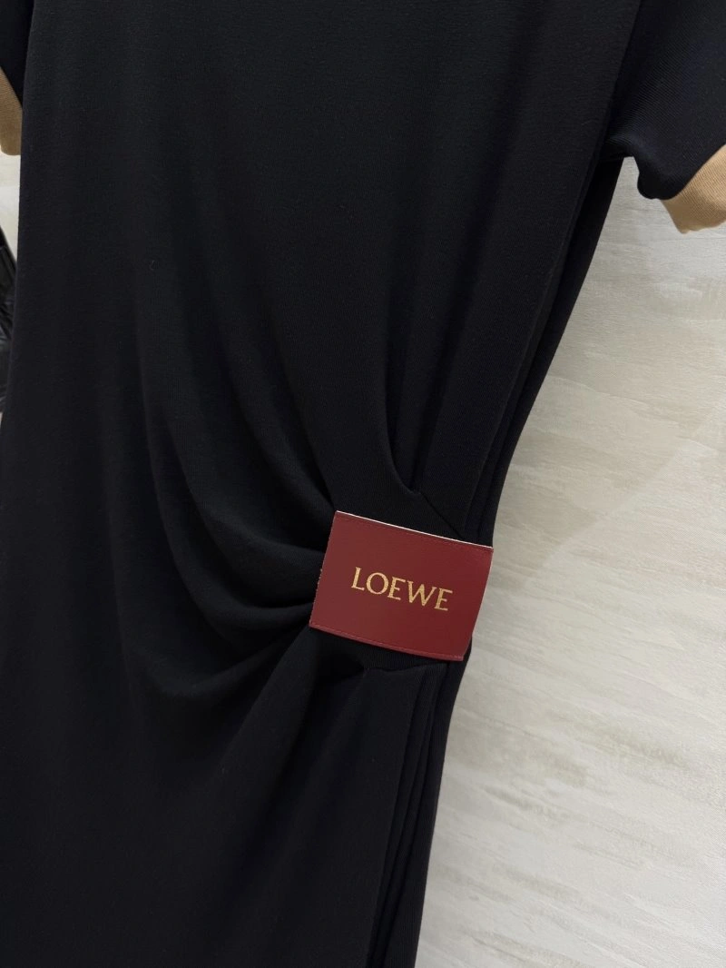Indistinguishable Loewe Dress