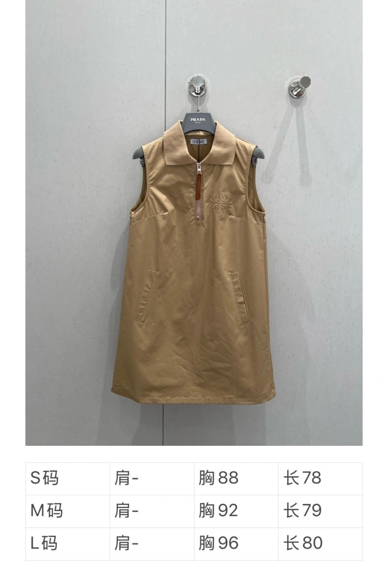 Value-priced Loewe Dress