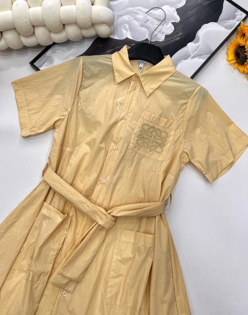 Budget-friendly Loewe Dress