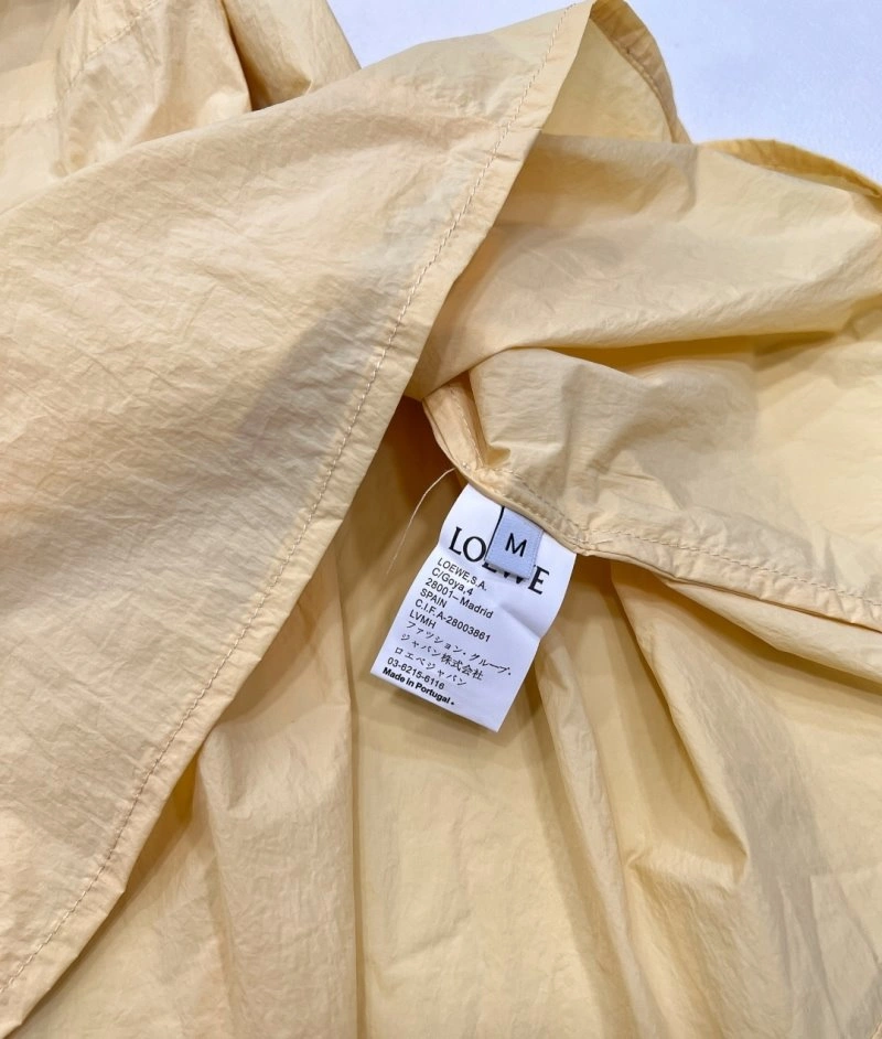 Budget-friendly Loewe Dress