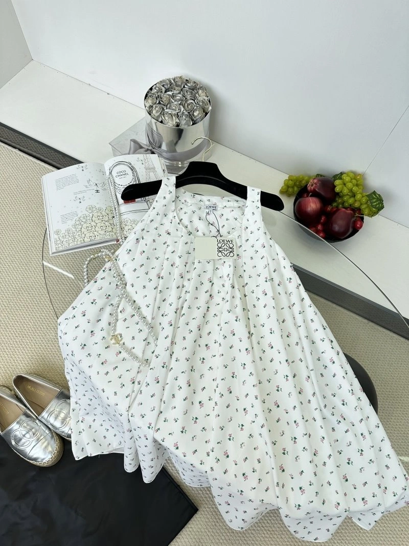 Loewe Dress