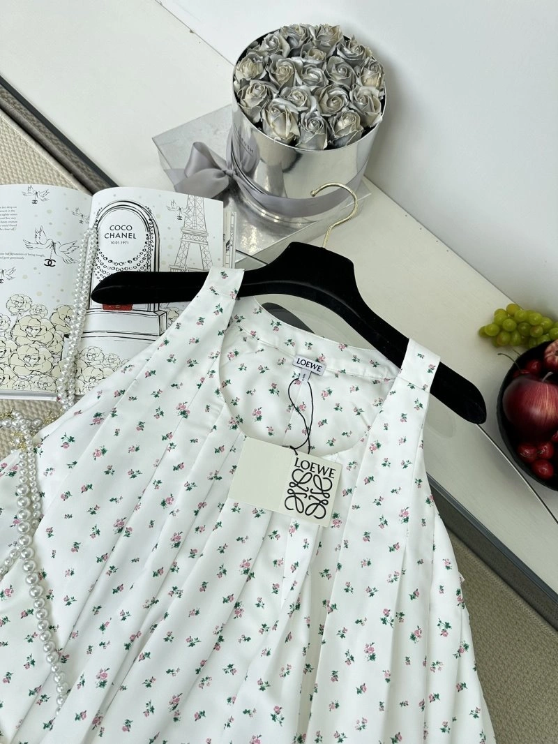 Real Loewe Dress