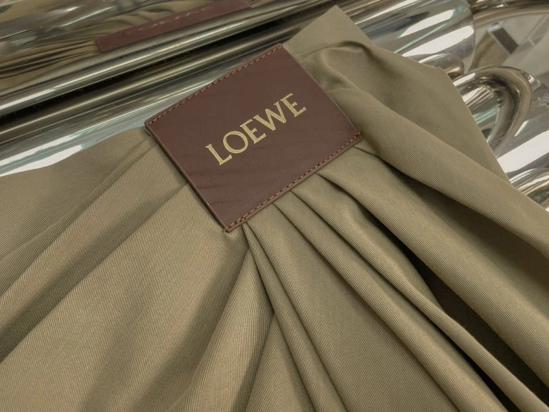 Legit Loewe Dress