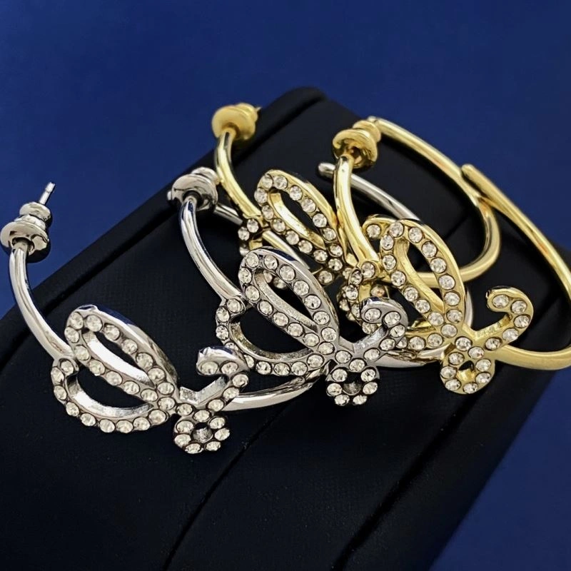 Value-priced Loewe Earrings