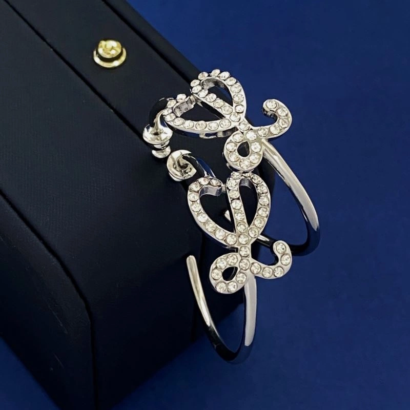 Value-priced Loewe Earrings