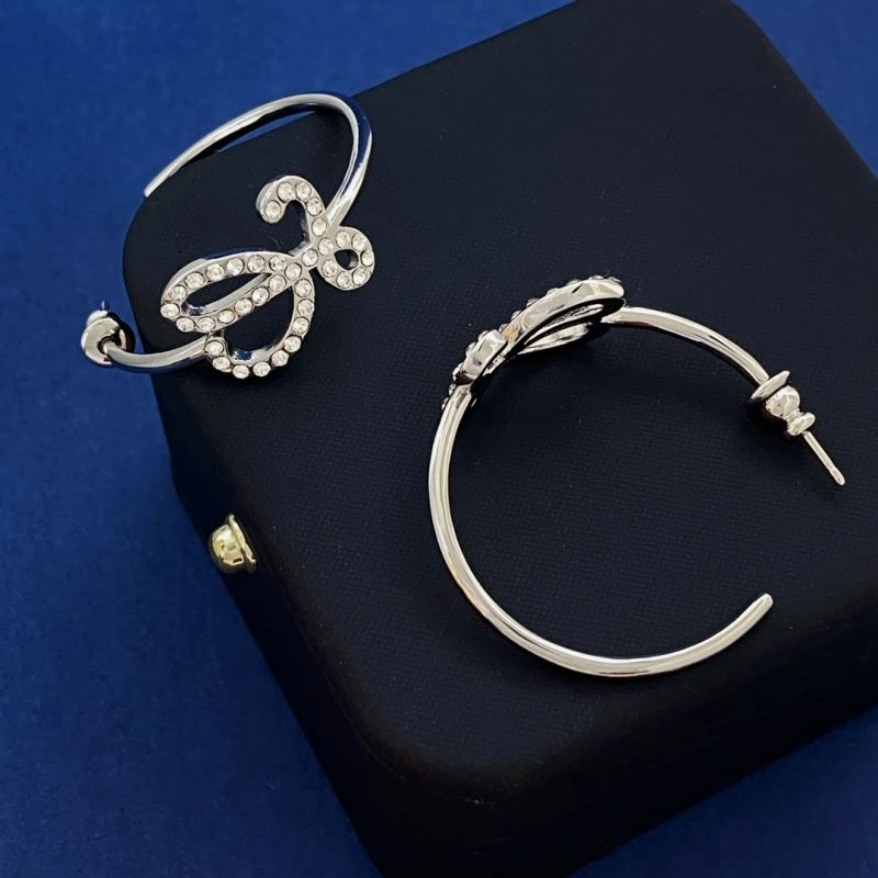 Value-priced Loewe Earrings