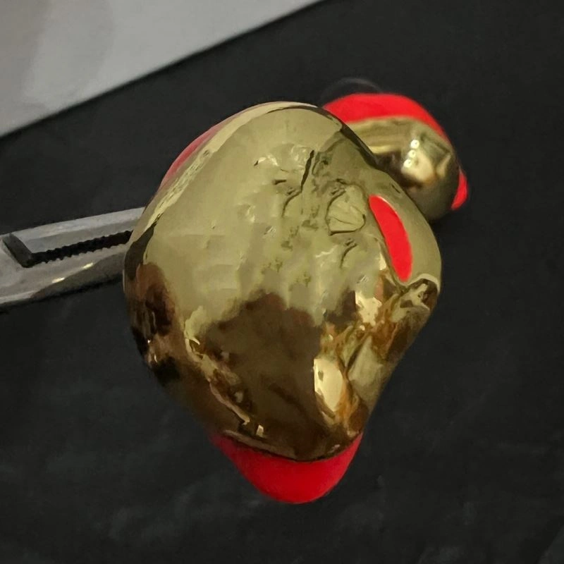 Authentic Loewe Earrings