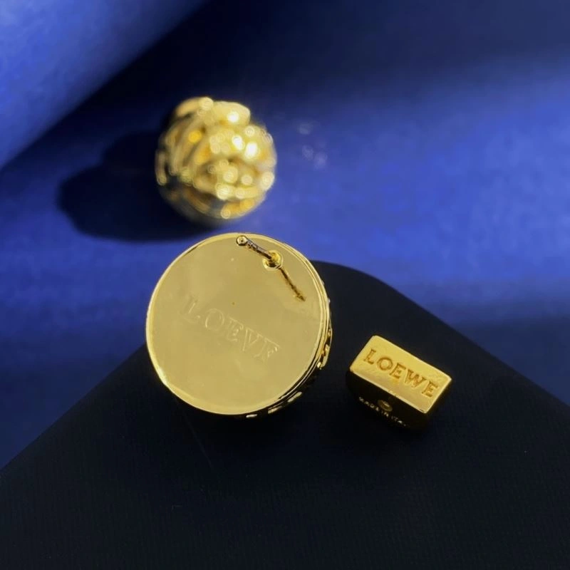 Value-priced Loewe Earrings