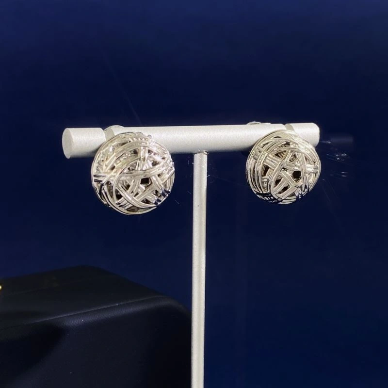 Value-priced Loewe Earrings