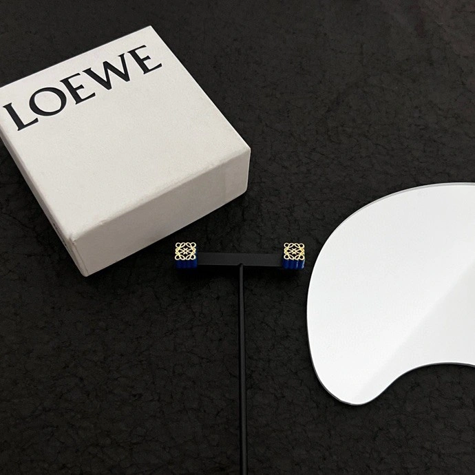 OEM Loewe Earrings