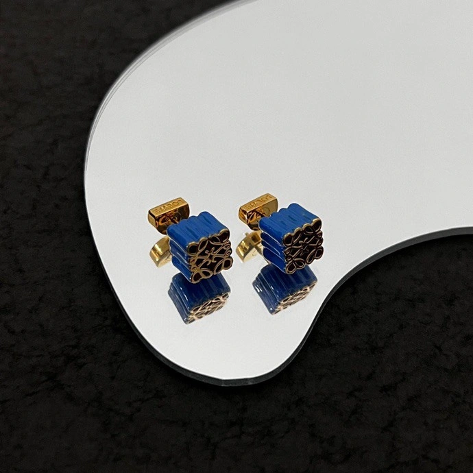 OEM Loewe Earrings