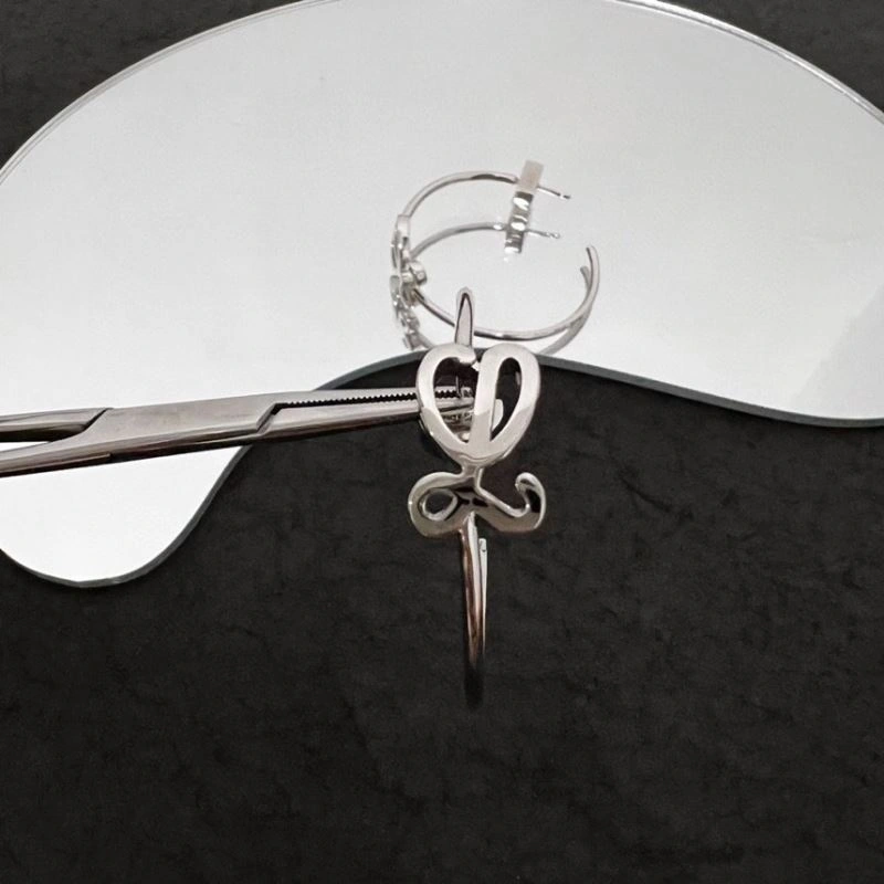 High accuracy Loewe Earrings