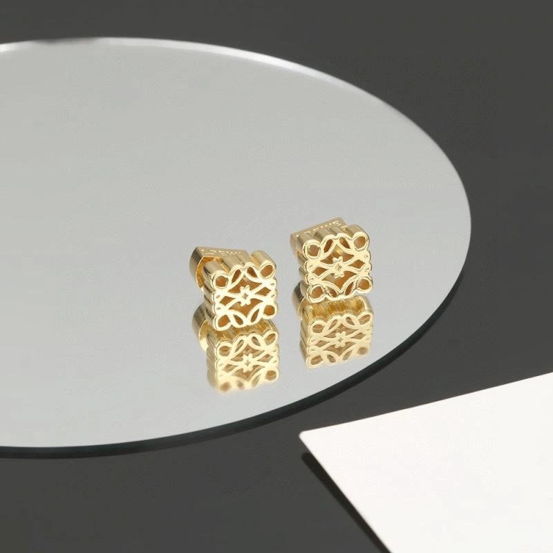 Budget-friendly Loewe Earrings