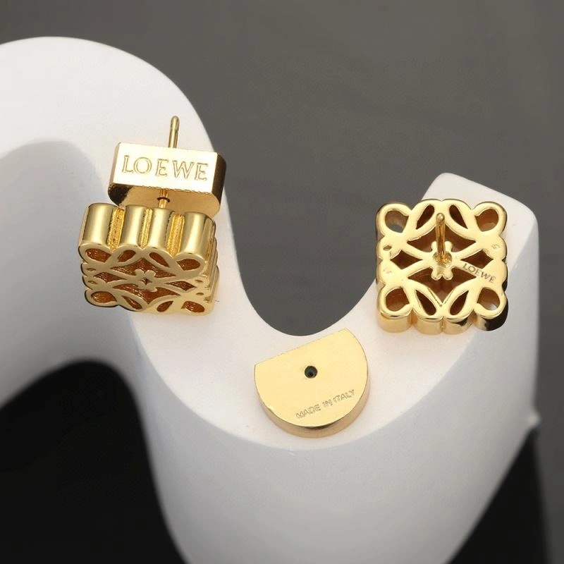 Budget-friendly Loewe Earrings