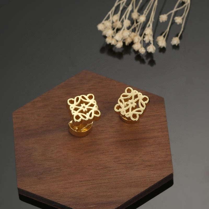 Budget-friendly Loewe Earrings